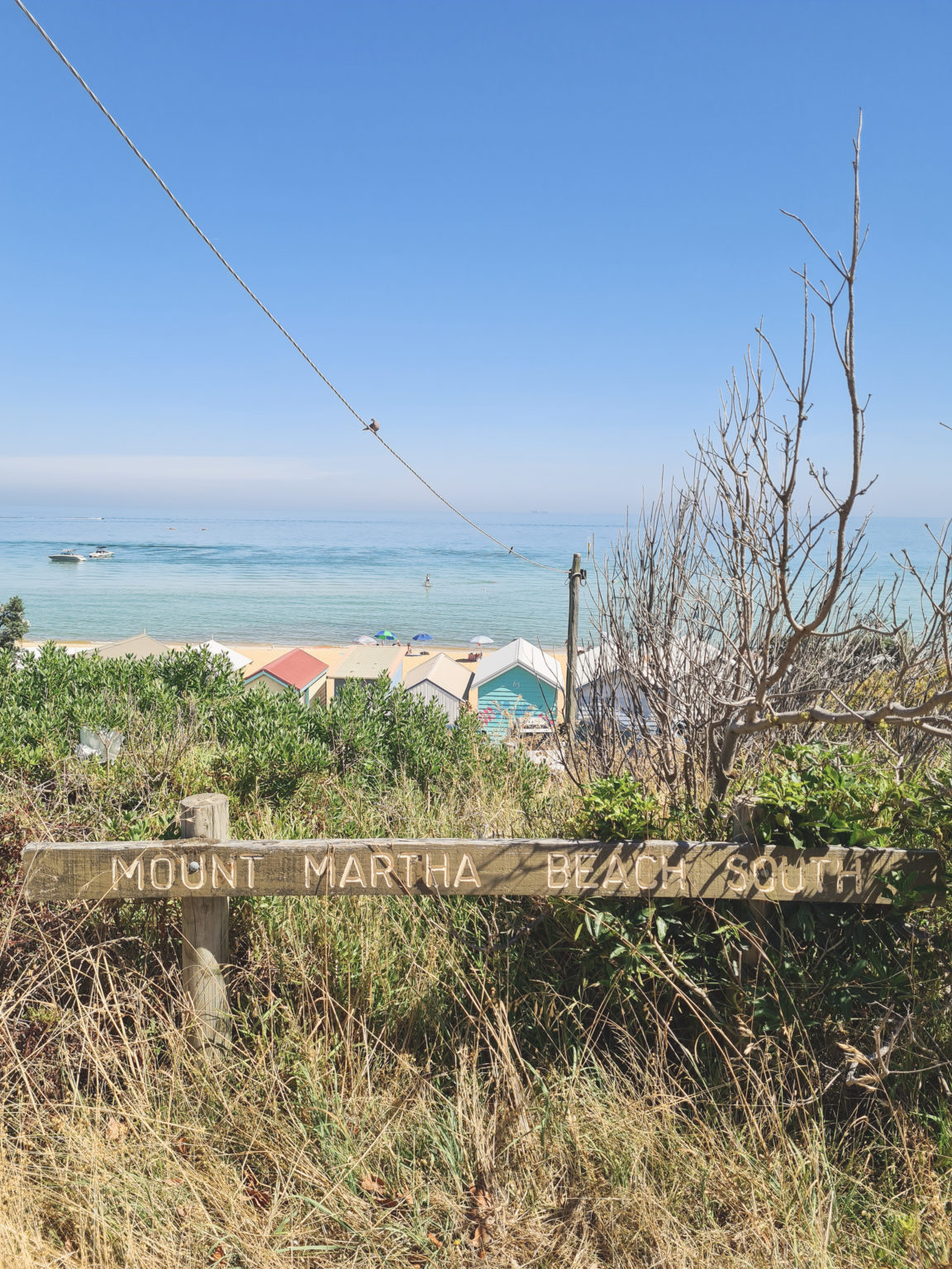 The Best Beach in Victoria: Why Mt Martha has a case! - 2 Cups of Travel