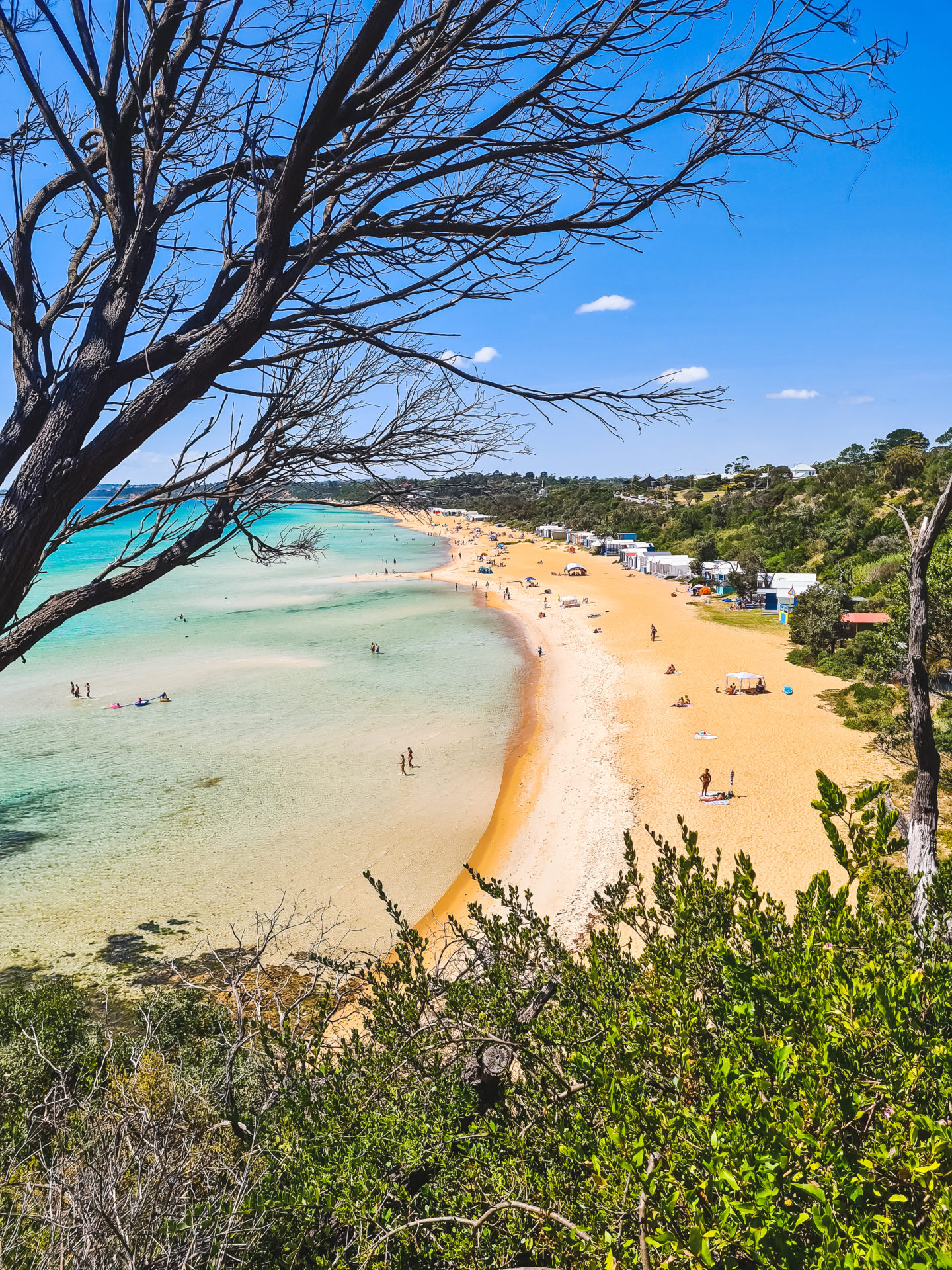 The Best Beach in Victoria: Why Mt Martha has a case! - 2 Cups of Travel