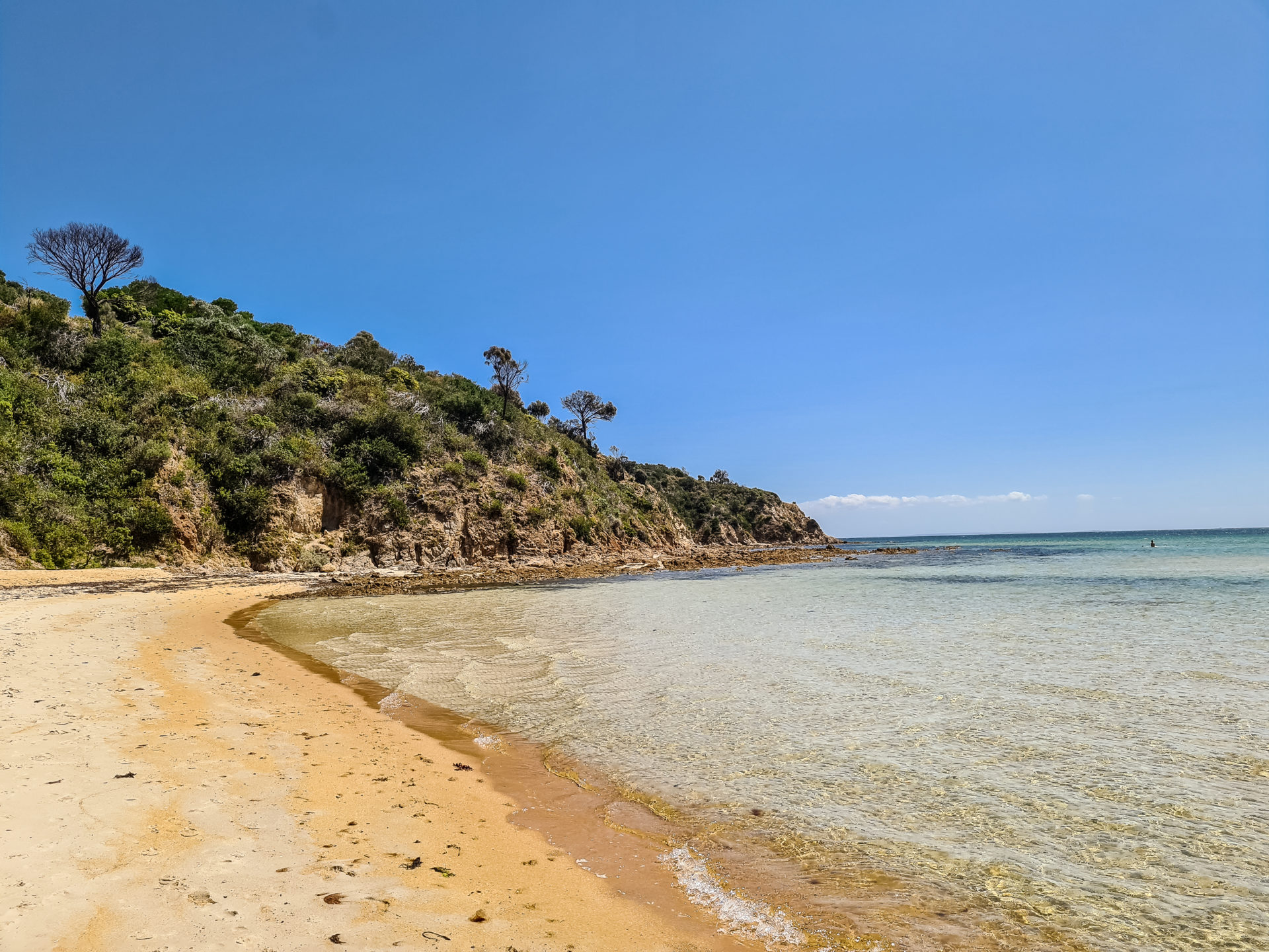 The Best Beach in Victoria: Why Mt Martha has a case! - 2 Cups of Travel