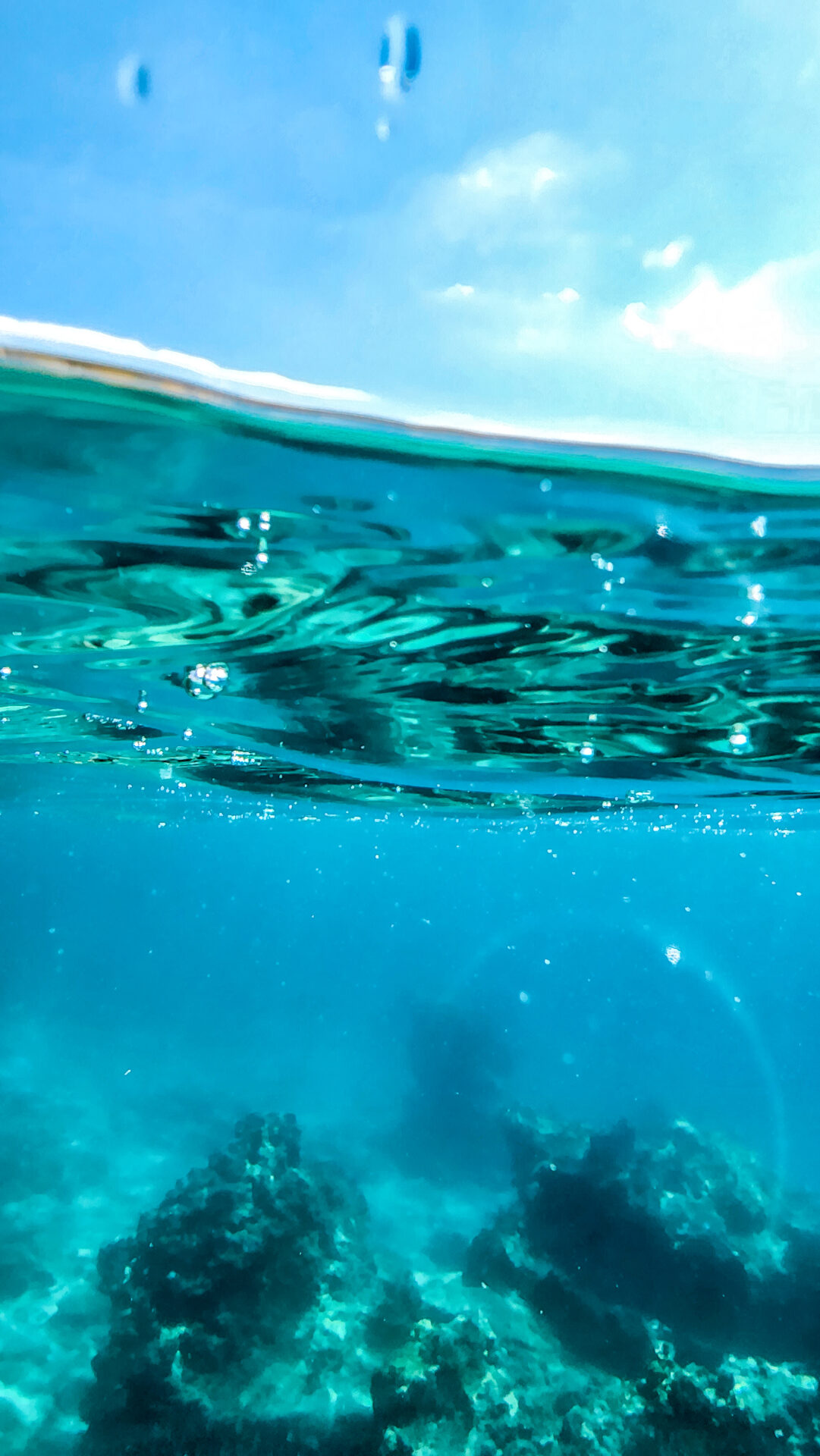 Take stunning underwater photos with your Phone - GDome - 2 Cups of Travel
