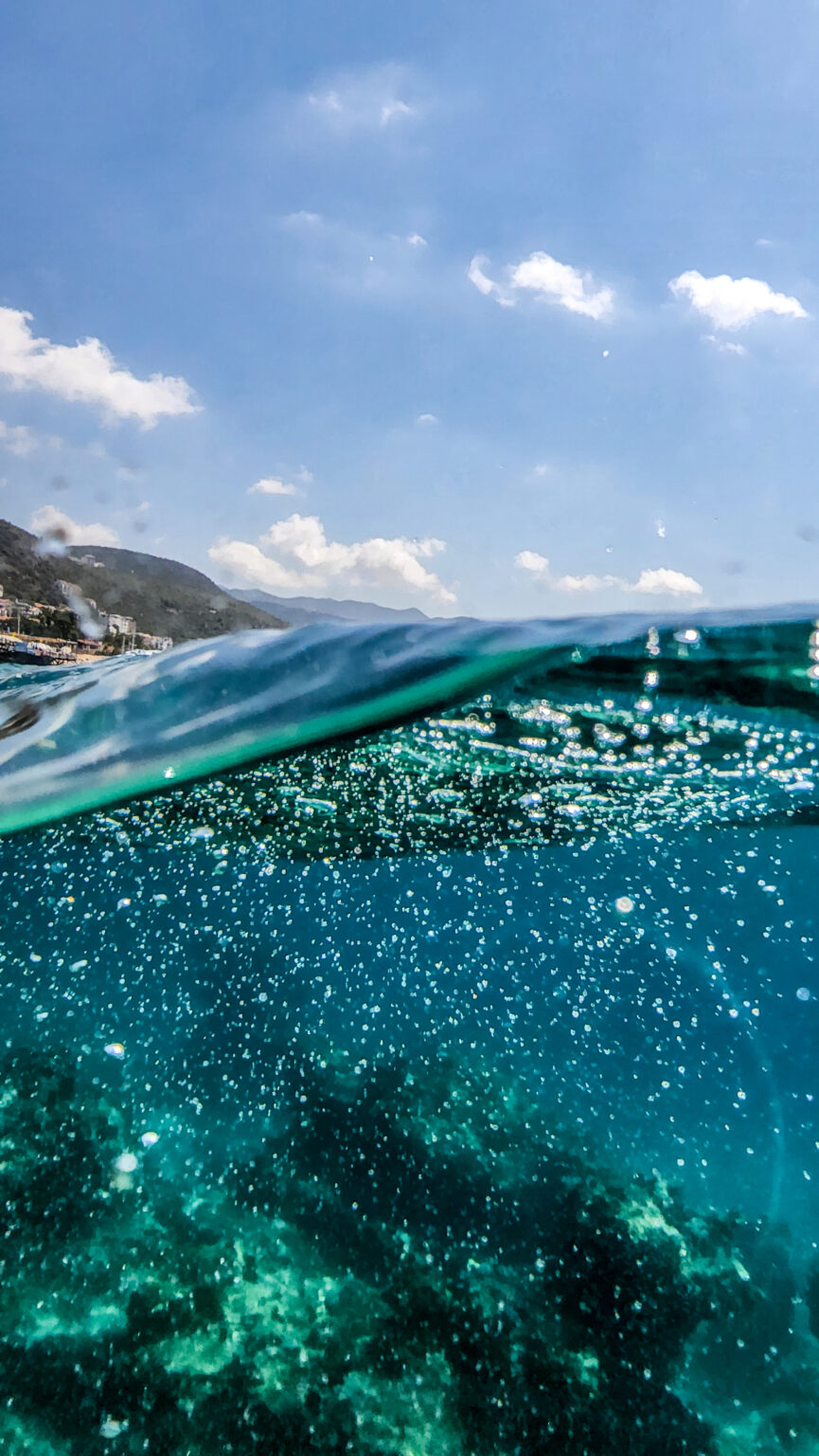 Take stunning underwater photos with your Phone - GDome - 2 Cups of Travel