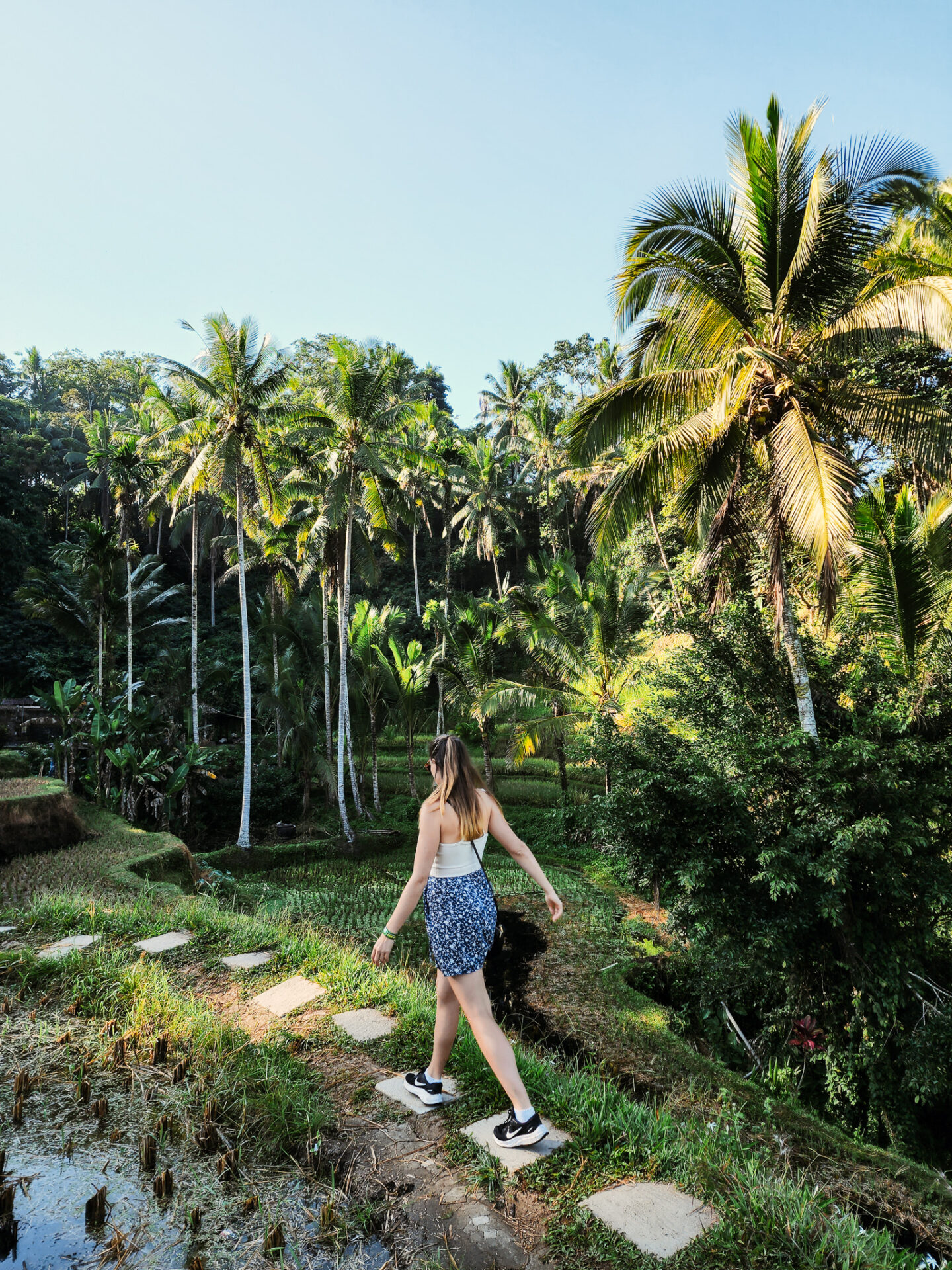 The Rice Terraces of Ubud - 2 Cups of Travel