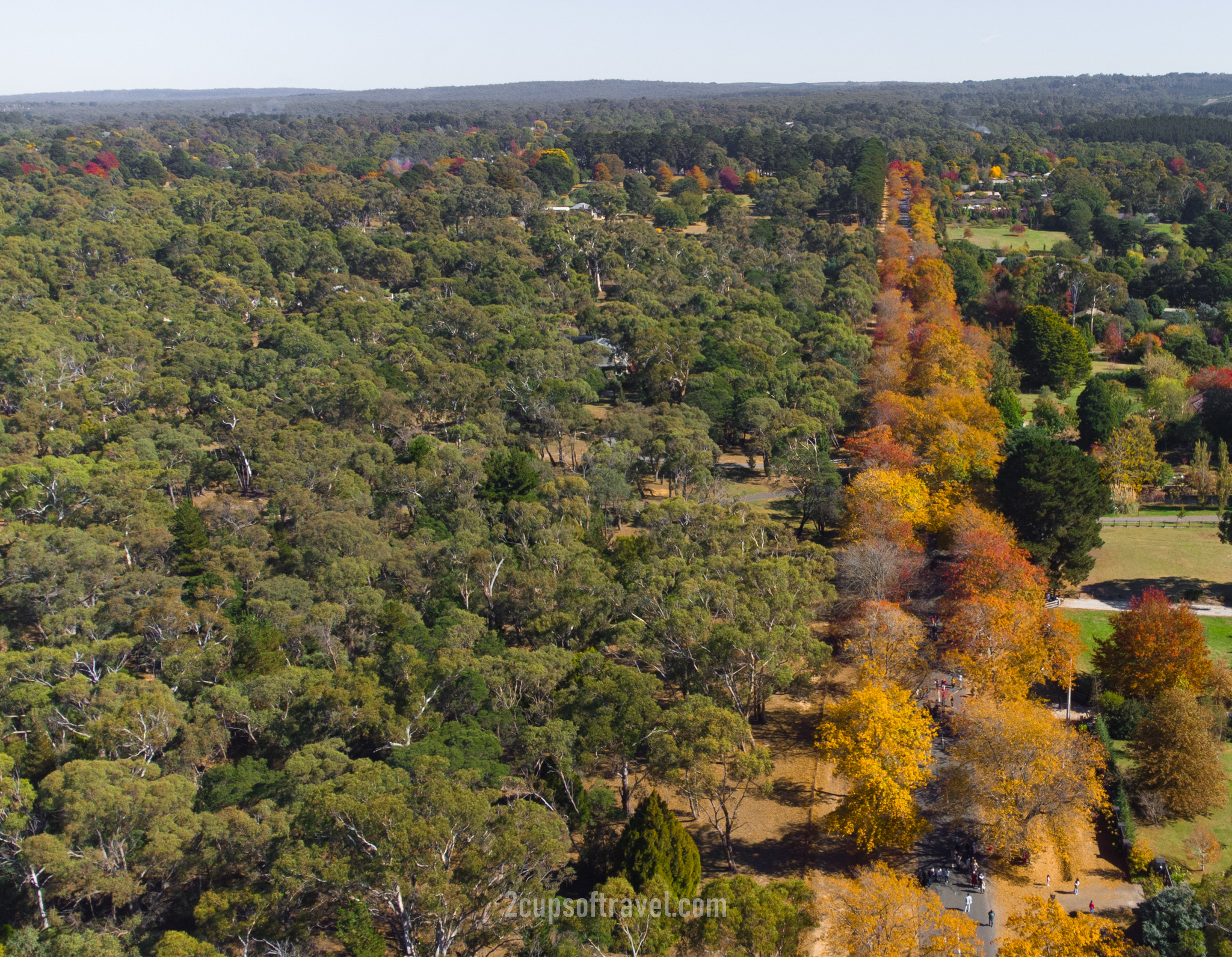 Looking for Autumn day trips? Consider Mount Macedon! - 2 Cups of Travel