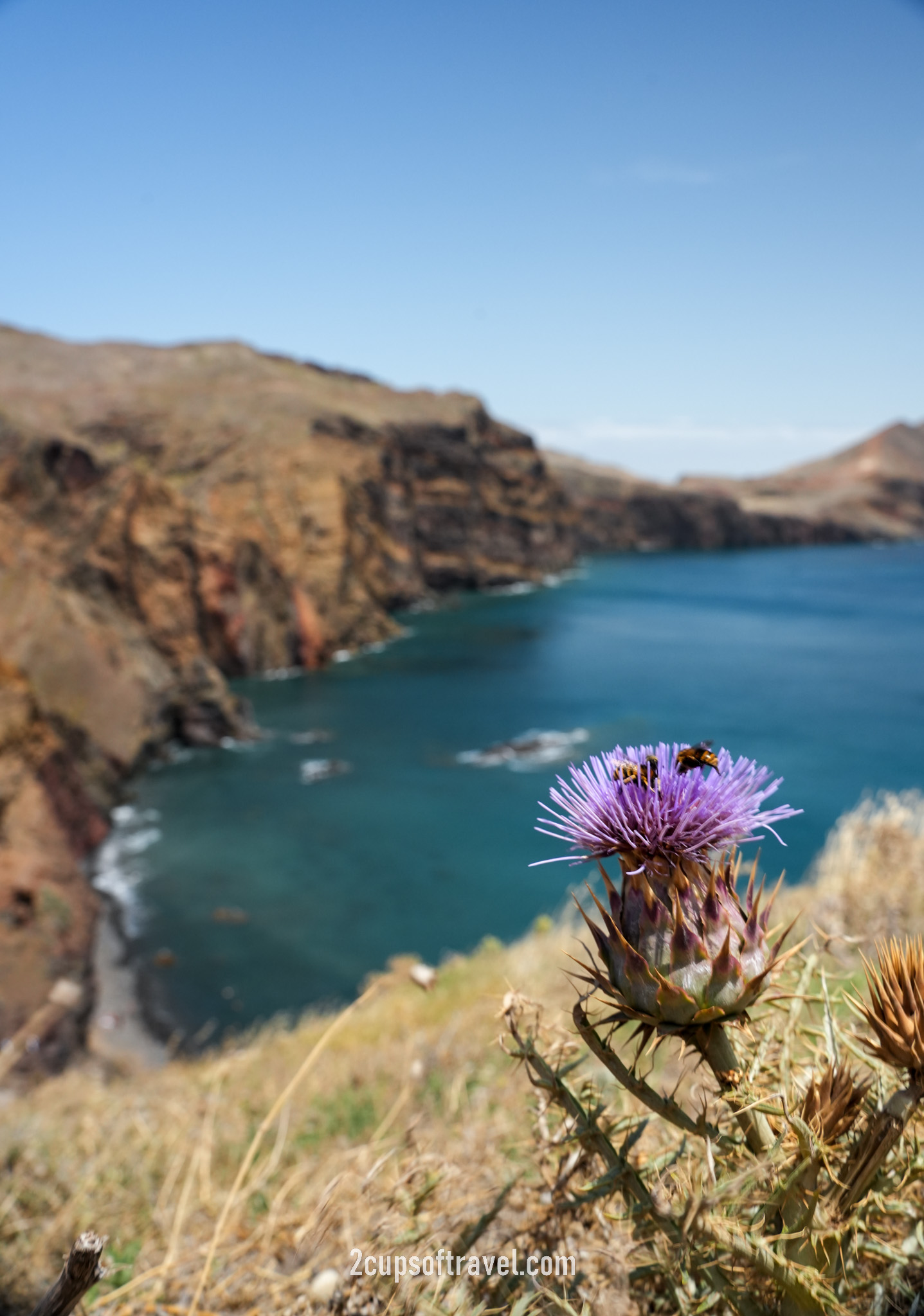 5 of the best beaches and swimming spots in Madeira - 2 Cups of Travel